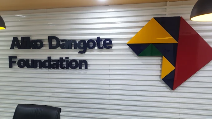 Aliko Dangote Foundation announces 2025 YGL Dangote Fellows - Business ...